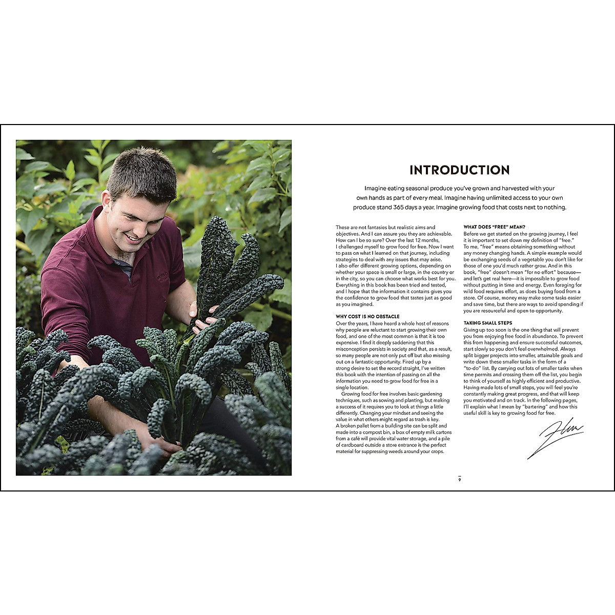 Grow Food For Free: The sustainable, zero-cost, low-effort way to a bountiful harvest