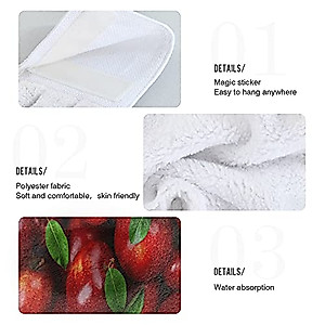 Red Apples Kitchen Hanging Towel 12 x 17 Inch Natural Tropical Fruits Leaves Hand Tie Towels Set 2 Pcs Tea Bar Dish Cloths Dry Towel Soft Absorbent Durable for Bathroom Laundry Room Decor