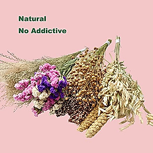 Hamster Bedding, Natural Hamster Bedding Flowers Herbs Cereal Grain For House Cage Habitat Enclosure Decor- Hamster Chews for Gerbils Mouse Rat Lemming Degus Guinea Pig or Small Animal Bedding Pets