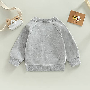 Gueuusu Toddler Kids Baby Boy Girl Crewneck Sweatshirt Cotton Long Sleeve Solid Color Pullover Top Casual Spring Fall Clothes (Light Gray , 6-12 Months )