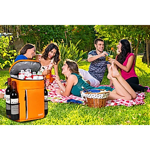 FORICH Soft Cooler Backpack Insulated Waterproof Backpack Cooler Bag Leak Proof Portable Small Cooler Backpacks to Work Lunch Travel Beach Camping Hiking Picnic Fishing Beer for Men Women