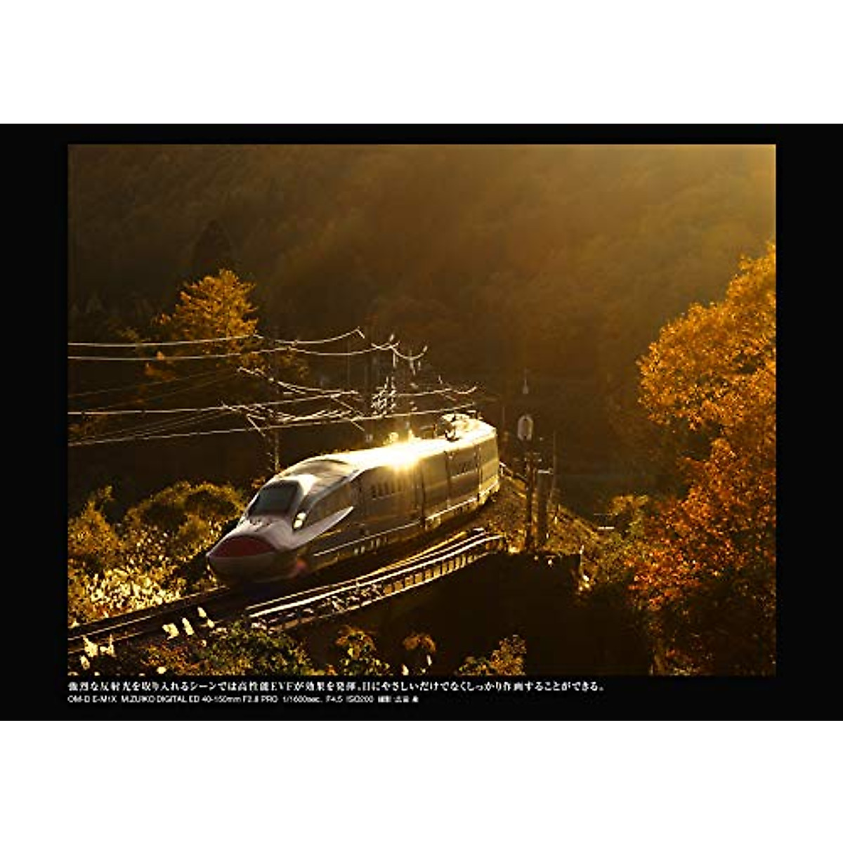 OLYMPUS Mirrorless DSLR OM-D E-M1X Body