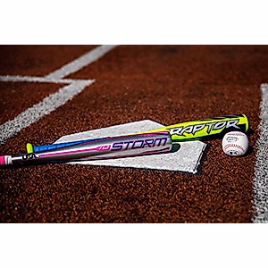 Rawlings | STORM T-Ball Bat | USA Softball & Baseball | -12 Drop | 24" | Silver/Pink