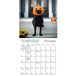 2021 Dogma: A Dogs Guide to Life Mini Calendar