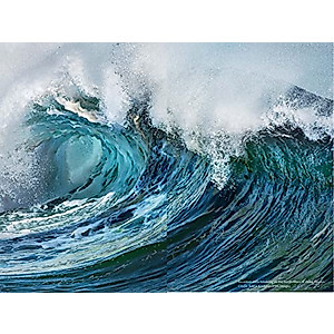 Audubon Engagement Calendar 2023: A Tribute to the Wilderness and its Spectacular Landscapes