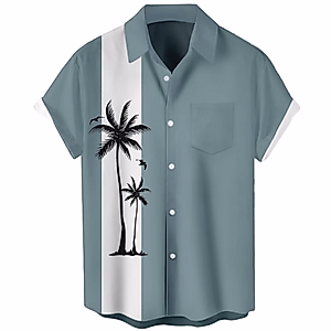 Lzzidou Men's Hawaiian Shirt Short Sleeve Button Down Beach Shirts Turquoise White