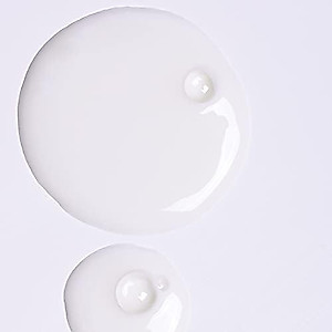 Curls Dynasty Cocoa Mint Moisture Rich Shampoo