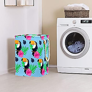 DEYYA Waterproof Laundry Baskets Tall Sturdy Foldable Bird Tropical Print Hamper for Adult Kids Teen Boys Girls in Bedrooms Bathroom