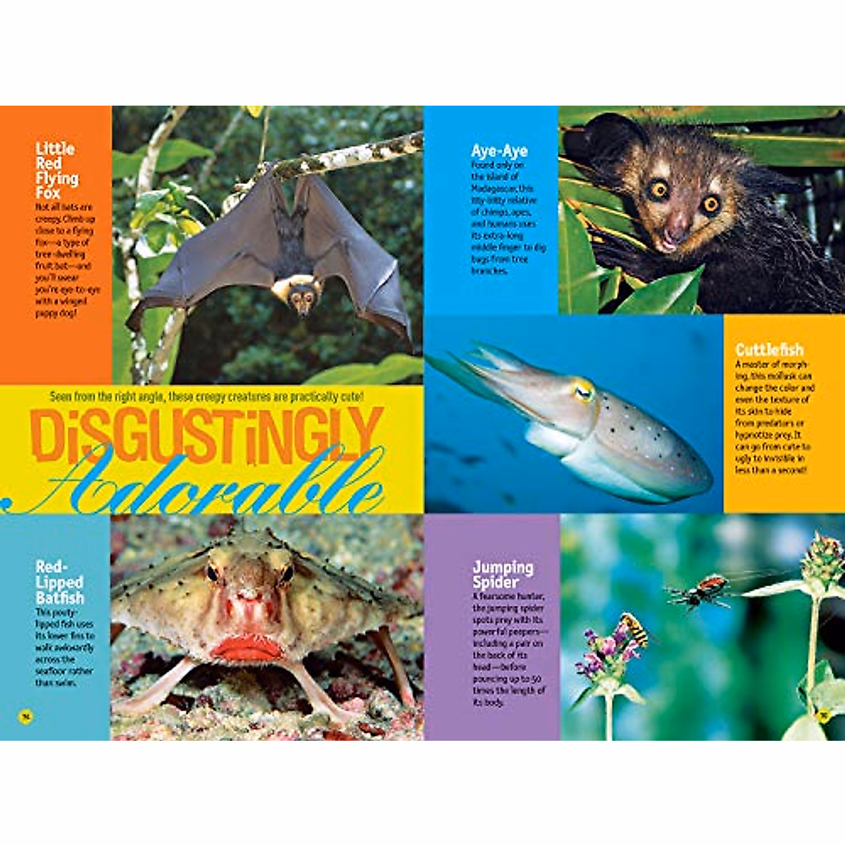 That's Gross!: Icky Facts That Will Test Your Gross-Out Factor (National Geographic Kids)