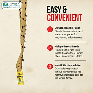 GARDEN SECRETS® Insect Bug Fly Glue Paper Catcher Trap Ribbon Tape Strip Sticky Flies 16 Rolls