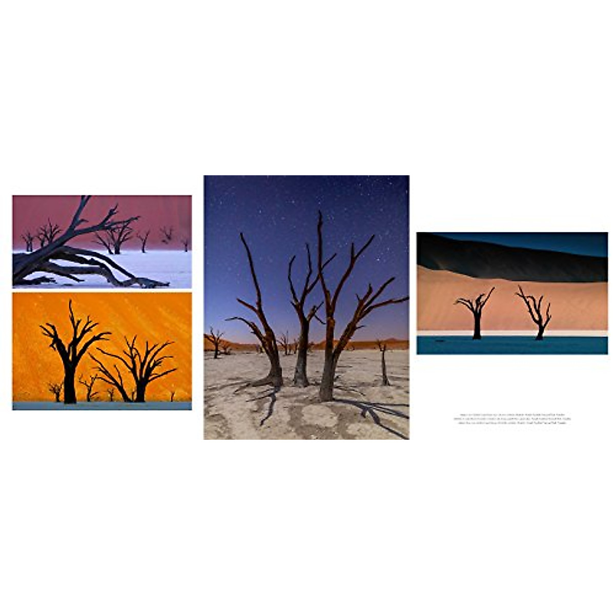 Trees: Between Earth and Heaven