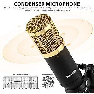 SINWE Podcast Microphone Bundle, BM-800 Condenser Mic with Live Sound Card Kit, Podcast Equipment Bundle with voice changer and Mixer functions for PC Smartphone Studio Recording & Broadcasting