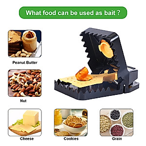 Mouse Traps,Mice Traps for House,Small Rat Traps That Work,Mice Killer Indoor Mouse Snap Traps No See Kill Mousetraps Quick Effective Mouse Catcher for Family and Pet-8 Pack