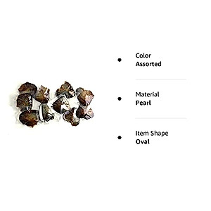 10 PC Freshwater Cultured Pearl Oyster Oval Pearls with White/Pink/Purple/Black, Birthday Gifts(7.5-8mm)