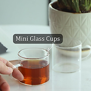 Motanber Espresso Cups Set of 8, Espresso Shot Glass 3.5 OZ, Mini Glass Cup, Clear Glass Tea Mugs, Small Coffee Cup with Handle for Latte, Tea, Espresso Machine