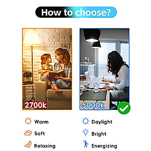 Jensense Edison Bulbs 6W E26 LED Bulb 60 Watt Equivalent, Vintage LED Light Bulbs CRI90+ ST19, Dimmable Clear Light Bulbs, 5000K Daylight Cool White 4 Pack