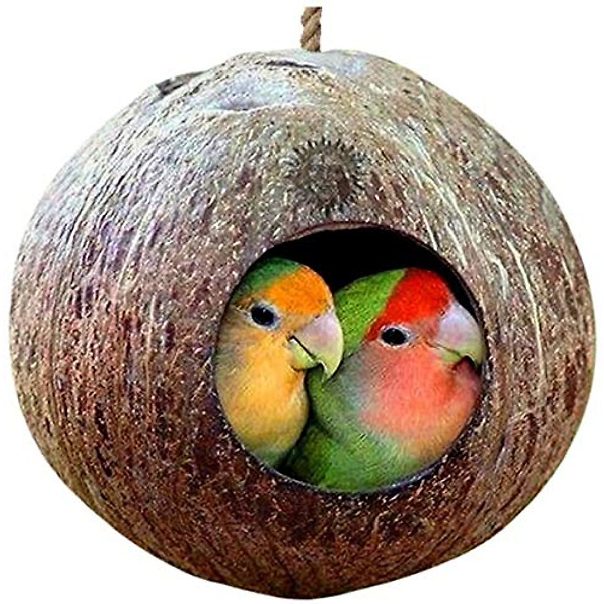 Litewoo Bird Nest House Bed Hut Natural Coconut Shell Seed Feeder Toy for Parrot Parakeet Cockatiel Conure Canary Finch Pigeon Hamster Gerbil Rat Mice Chinchilla Guinea Pig Cage Accessories