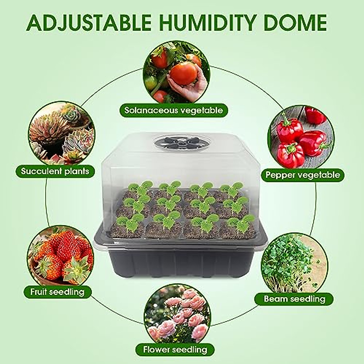 Lawntial 6-Pack Seed Starter Tray with Adjustable Humidity Dome and Base Plant Seed Starter Kit, Indoor Greenhouse, Mini Greenhouse, Seedling Starter Trays for Seeds Growing Starting