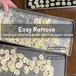 Perditan Tray Mats Set for Harvest Right Freeze Dryer Accessories (L - Large) 6 Pack, Non-Stick, Washable - Teflon Mats Compatible with Harvest Right Freeze Dryer Trays