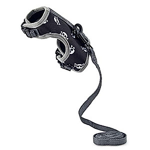 You & Me Skulls Small Animal Harness and Leash Set, Medium, Black