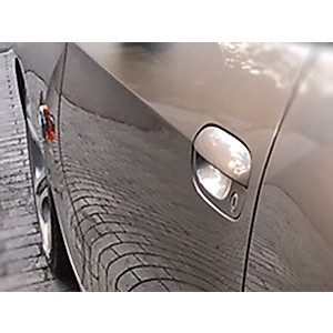 LincShine All-in-One Detailer + Shine + Protectant