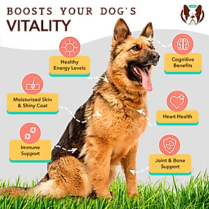 Natural Dog Company Skin & Coat Health Bundle with Omega-3, DHA, and Antioxidants for Dogs, Supports Healthy Skin, Shiny Coat, and Overall Wellness Ideal for Dry Skin Relief & Enhancing Dog Coat Shine