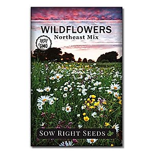 Sow Right Seeds - Wildflowers Seeds to Plant in Northeast - Full Instructions for Planting and Growing a Beautiful Wild Flower Garden; Non-GMO Heirloom Seeds; Wonderful Gardening Gift (1)