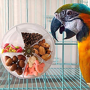 Bird Creative Foraging System Wheel Seed Food Ball Rotate Training Toy for Small and Medium Parrots Parakeet Cockatiel Conure (Clear)