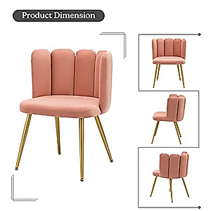 HULALA HOME Velvet Accent Chairs Modern Vanity Chairs for Makeup Room, Comfy Upholstered Dining Chairs for Living Room with Shell Back and Golden Metal Legs/Pink