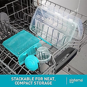 Sistema To Go Collection Large Bento Box Plastic Lunch and Food Storage Container, 7.4 Cup, Multi Compartment, Color Varies | BPA Free
