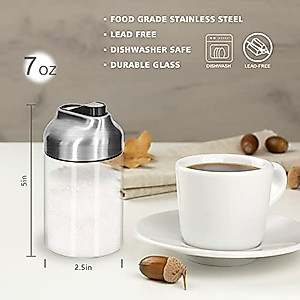 Glass Sugar Dispenser with Pour Spout by Aelga, Weighted Pourer, for Coffee,Tea and Baking