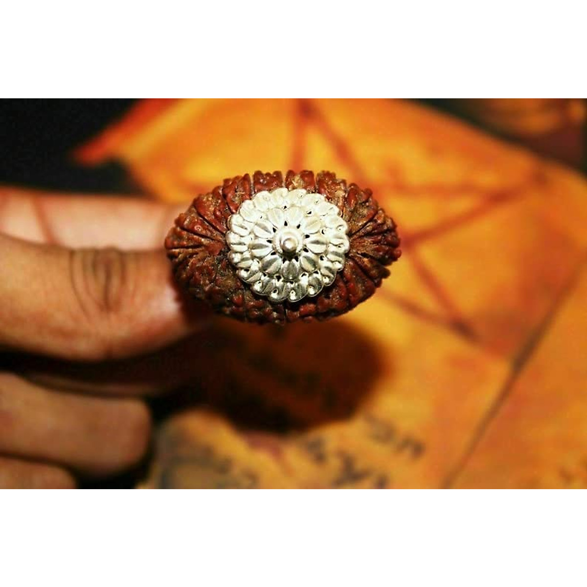 Astrodivine 21 Mukhi Rudraksha Original Certified Pendant Sterling Silver Real Nepal Bead Genuine Rudraksh Fruit 21 मुखी रुद्राक्ष पेंडल