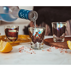 Toynk DC Comics Justice League Movie Logos 1.5-Ounce Mini Shot Glasses | Set of 4