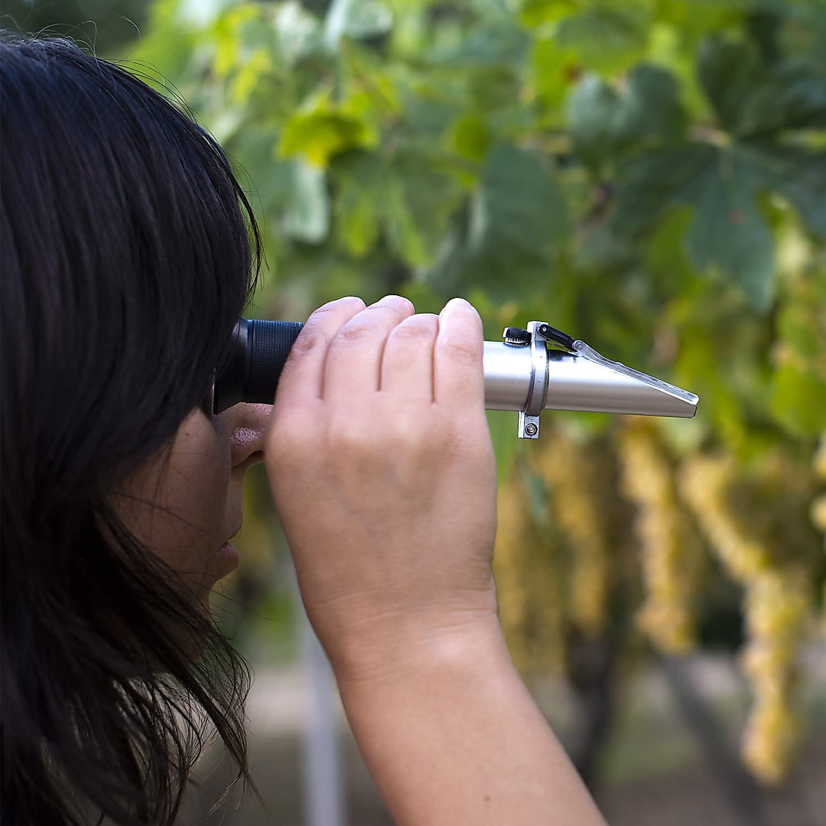 Beer Wort Refractometer for Homebrewing Beer, Dual Scale Specific Gravity 1.000-1.130 and Brix 0~32%, Beerbrewing Refractometer Hydrometer with (ATC) Autoction Temperature Compensation