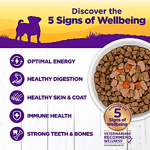 Wellness Petite Entrées Mini-Filets with Roasted Chicken, Beef, Carrots & Green Beans in Gravy, 3-Ounce Cup (Pack of 12)