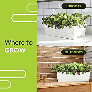 Miracle-Gro Garden to Go Mesclun Greens Mix - All-in-One Garden Kit