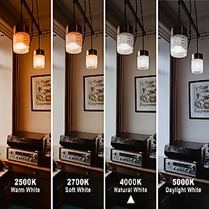 YIMILITE ST58 (ST19) LED Edison Bulb 60 Watt Equivalent, CRI 80+, High Brightness Natural White 4000K Clear Glass, Dimmable Vintage led lamp Filament Light Bulbs, E26 Medium Base, 6 Pack