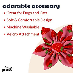 H&K Pet Pinwheel | Strawberry (Large) | Spring Velcro Collar Accessory for Dogs/Cats | Fun Pet Pinwheel Collar Attachment | Cute, Comfortable Pet Accessory
