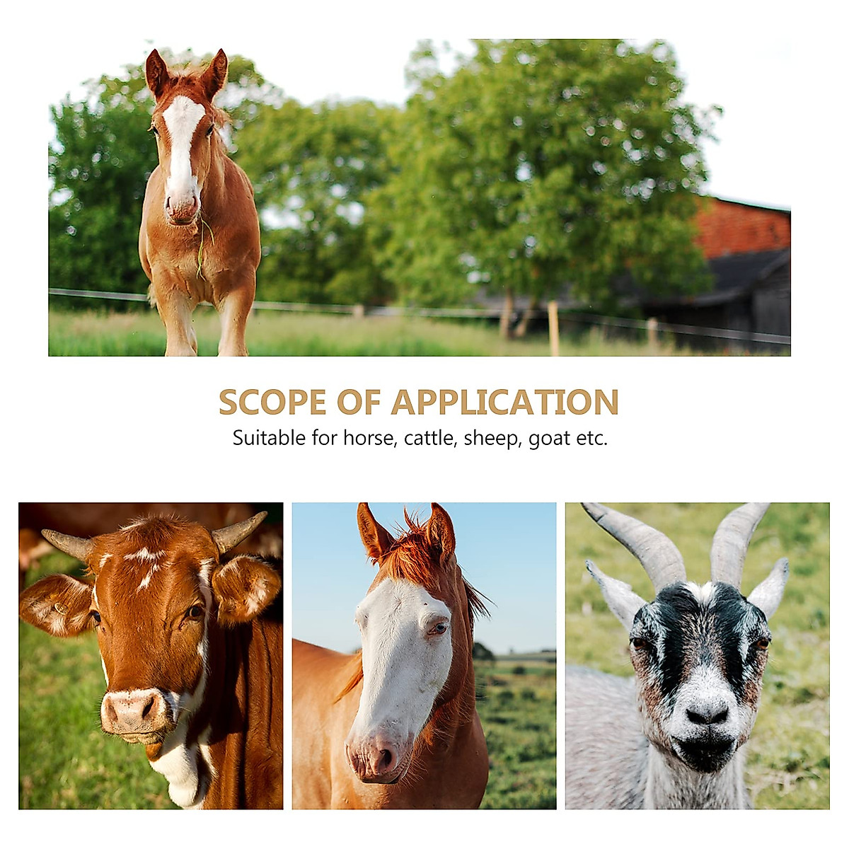 Happyyami Hoof Trimmer Portable Horse Shoeing Tool Horseshoe Repairing Cutter Stainless Steel Horseshoe File Animal Foot Pruning Tool Hoof Repair Tool Horseshoe Cutting Tool Shoeing Tools