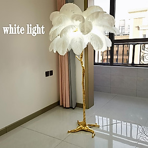 Natural Ostrich Feather Floor Lamp,Feather Lamps for Bedrooms and Living Room with Foot Switch Dimmable,Resin Feather Standing Lamp H:170cm (White)