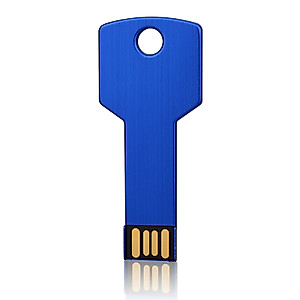 RAOYI 10 Pack 2GB USB Flash Drive USB 2.0 Metal Key Shape Memory Stick Thumb Drive Pen Drive-Blue