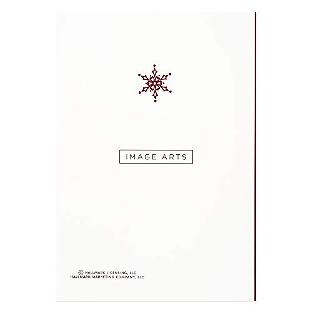 Image Arts Christmas Boxed Cards Assortment, Elegant Lettering (4 Designs, 24 Cards with Envelopes)