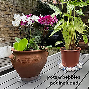 My Homeware Fix 15-Pack Clear Plastic Plant Pot Saucer - No Water Spills – Durable Drip Trays for Indoors, Outdoors – Saucers are 3 Sizes – 6, 8, 10 inches