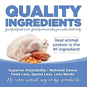 PureVita Grain Free Turkey & Sweet Potato Dry Dog Food - 25lb