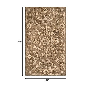 SAFAVIEH Anatolia Collection Accent Rug - 3' x 5', Grey & Dark Grey, Handmade Traditional Oriental Wool, Ideal for High Traffic Areas in Entryway, Living Room, Bedroom (AN585G)
