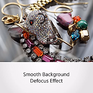 Sony - E 50mm F1.8 OSS Portrait Lens (SEL50F18/B), Black