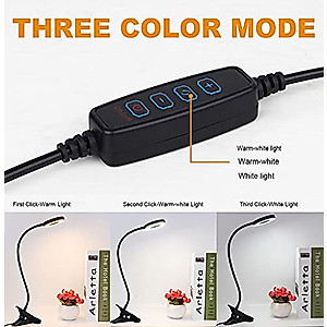 Earendil Desk Lamp,Clip On Reading Light,3 Color Modes 10 Brightness Level USB Charging Port 48 LED Eye Protection 360 Degree Spin Gooseneck Study lamp for Home Office Reading