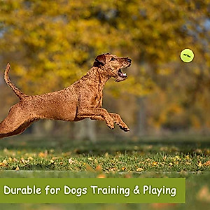 12 Pcs Squeaky Tennis Balls for Dogs - 2.58" Interactive Doggy Toys - Safe, Durable for Small Medium Large Dogs Training Playing, with 1 Reusable Carry Bag