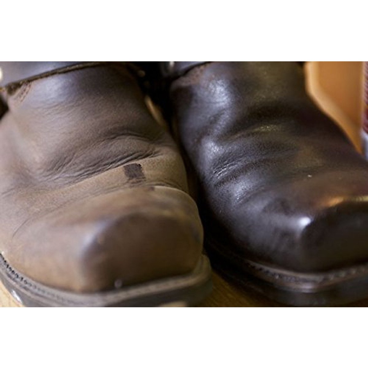 Go Green Leather Conditioner – Organic, 3 in 1 Leather Care, Cleans, Protects and Restores Your Leather, Unleash The Power of Coconut on Your Leather, Perfect for Auto Lovers, Kids and Pet Safe