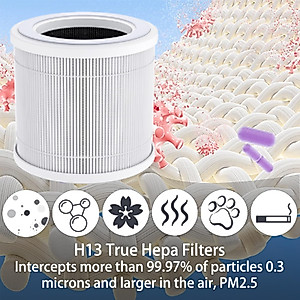 T10 Replacement Filter For FULMINARE T10 Air Purifier, 3 in 1, 2 Pack H14 True HEPA Filter With Efficiency Activated Carbon and Pre-Filter